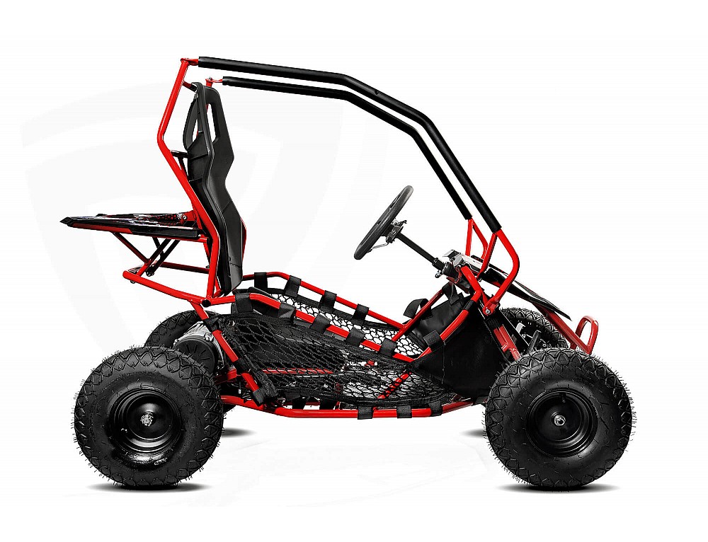 Kids Electric Mini Buggies 450W - 1000W, 36V - 60V, E-Buggy