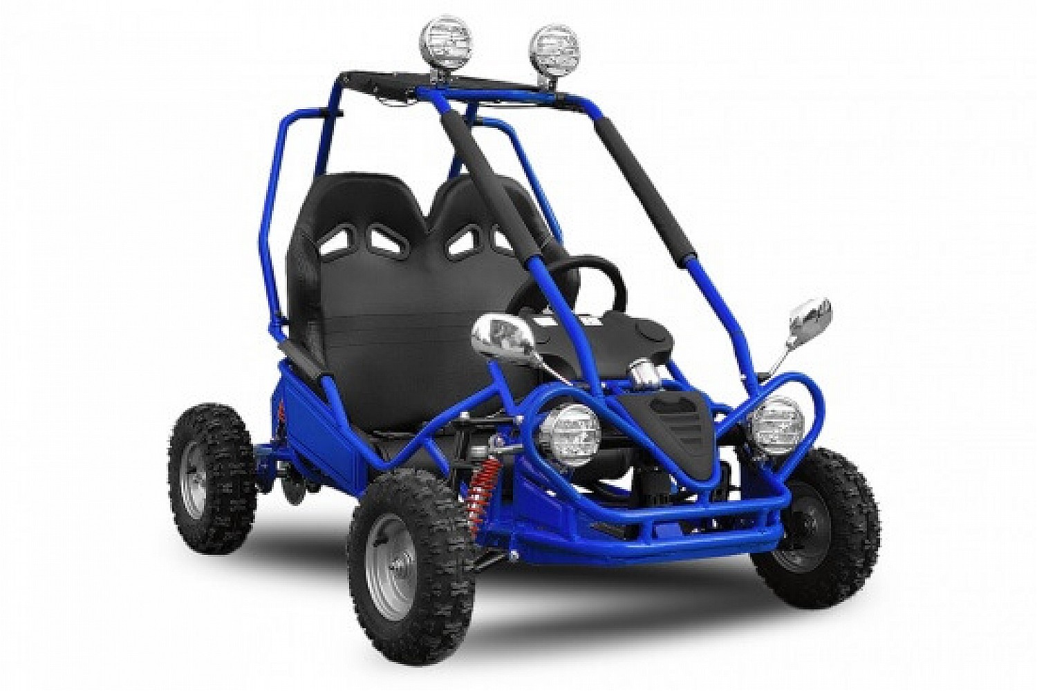 Electric Kids Buggies : 450W 36V Kids Electric Mini Buggy