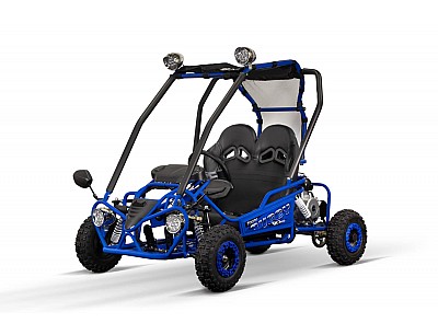 110cc dune buggy